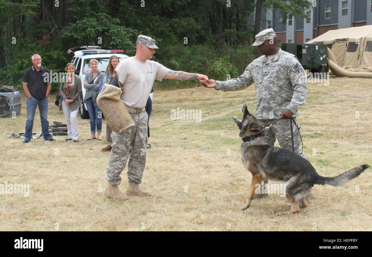 Military Working Dog Gizmo and his handler, Sgt. Jermaine Rocket, with ...