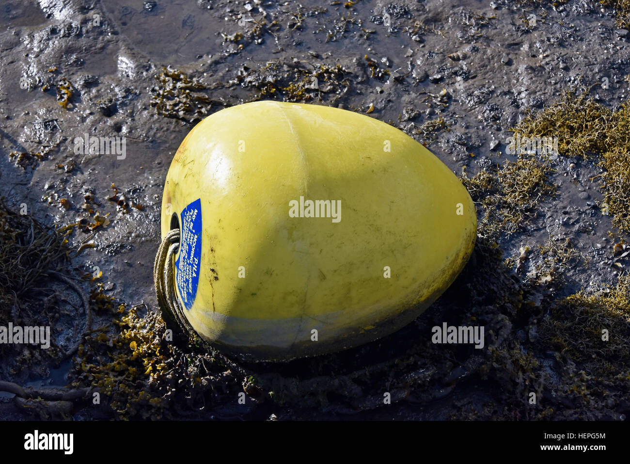 Yellow plastic mooring buoy on muddy beach Stock Photo - Alamy
