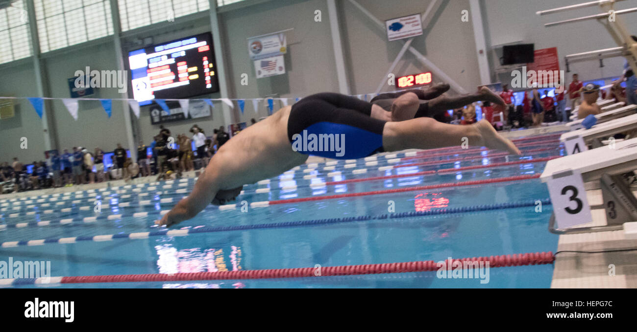 Athletes compete in swimming during the 2015 Department of Defense ...