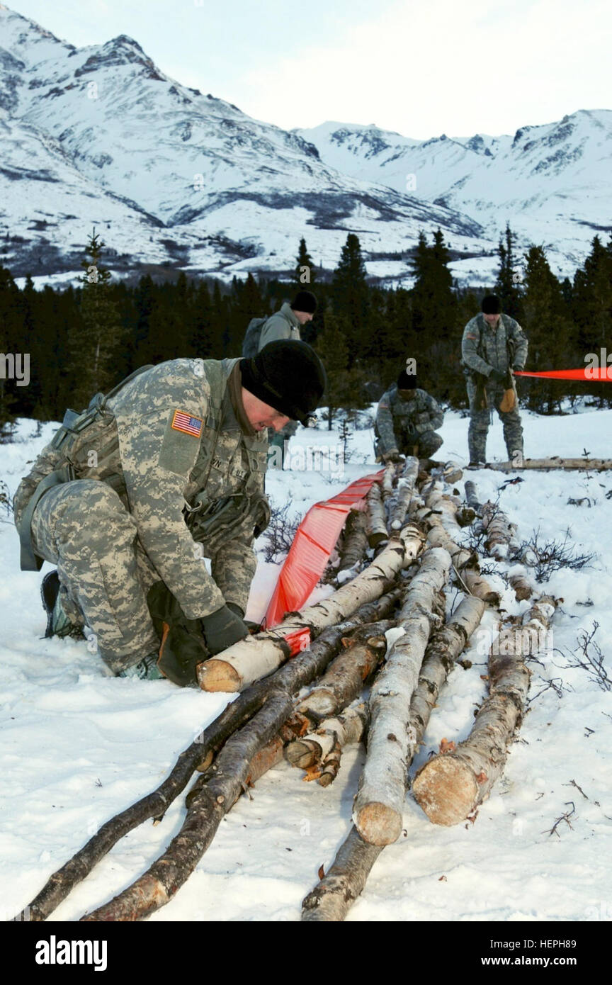 U.S. Army Alaska Aviation Task Force soldiers attending the Aviation ...
