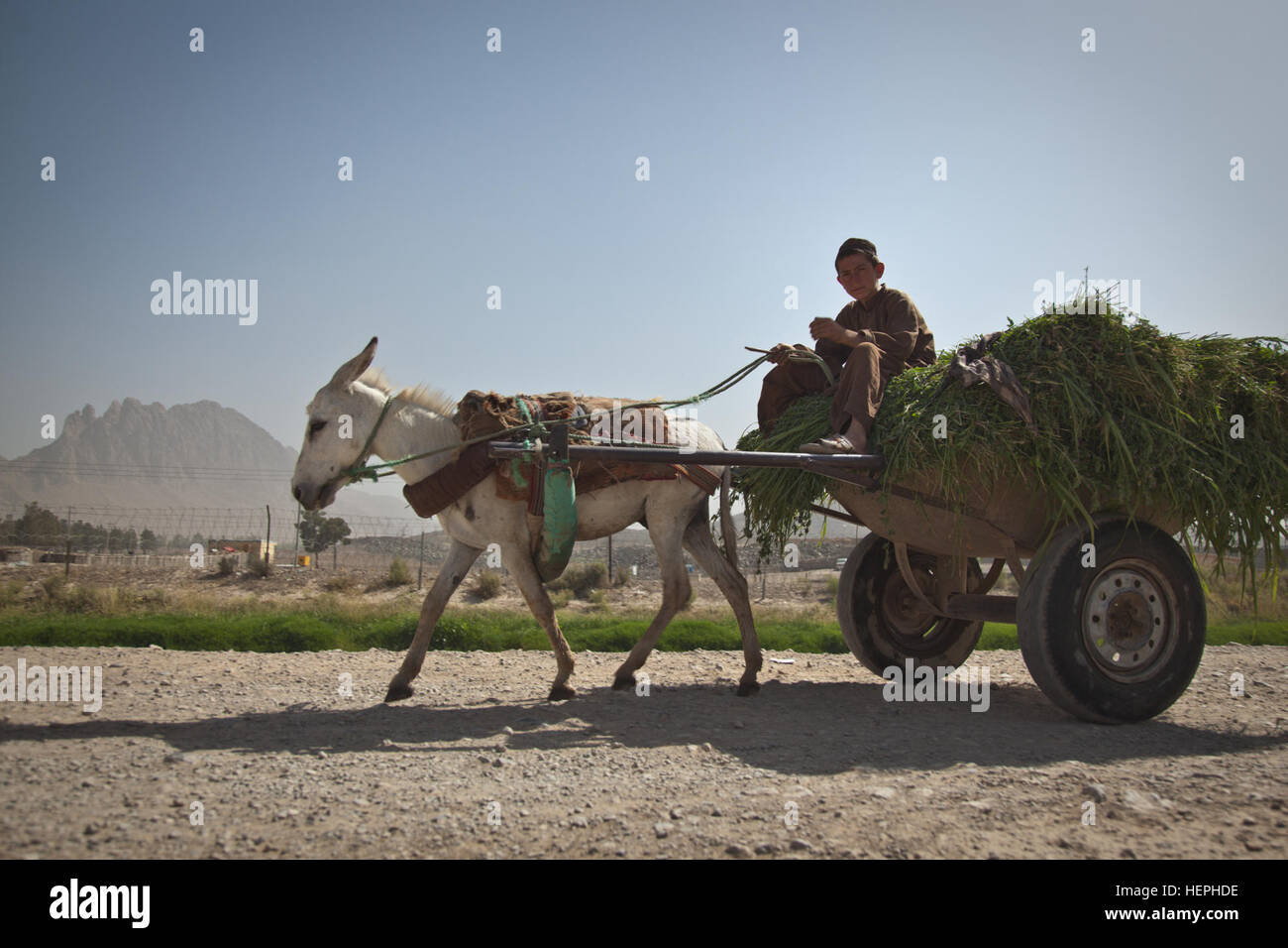 A boy rides a donkey down a dusty road during a mission led by U.S ...