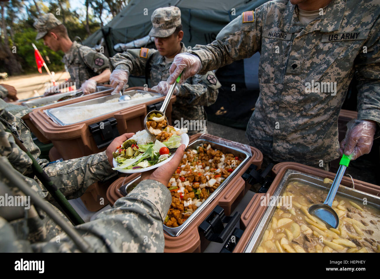 U.S. Army Reserve combat engineer Soldiers from the 374th Engineer ...