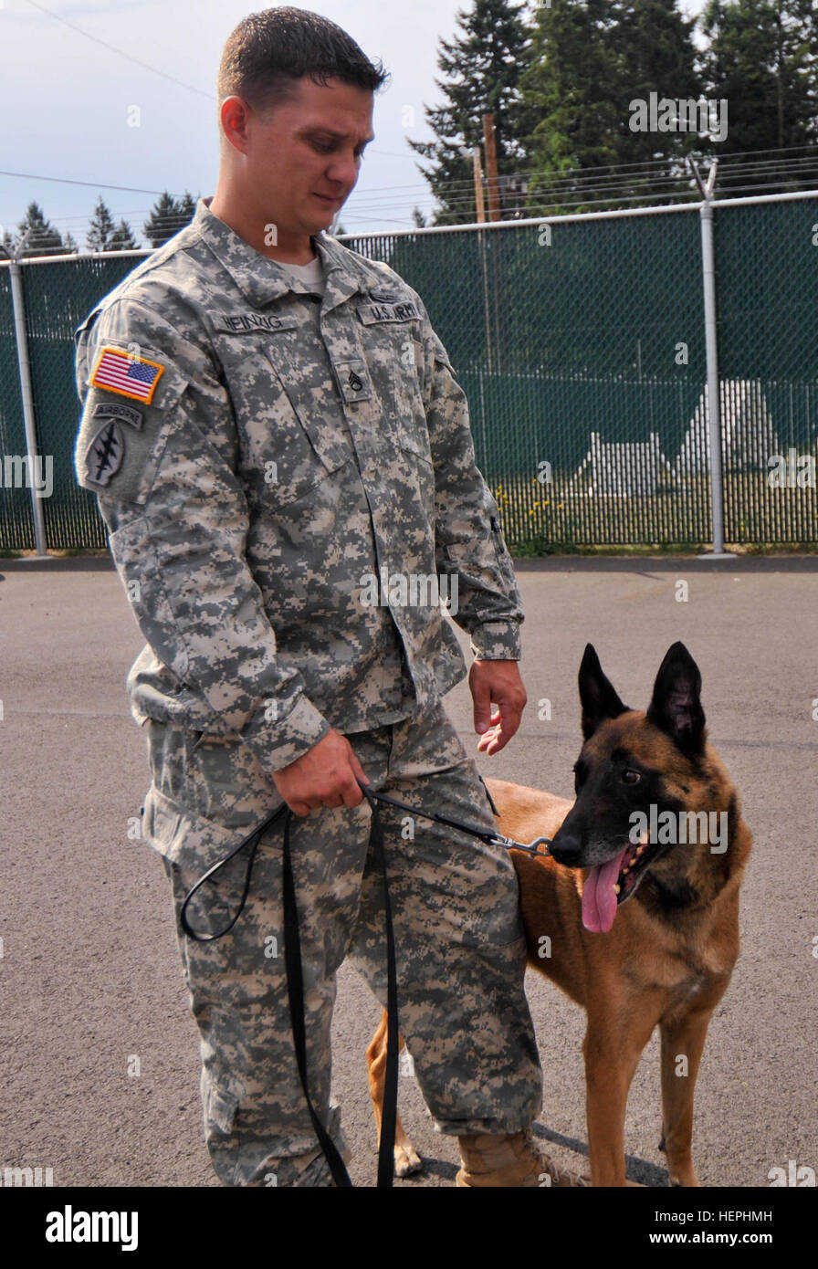 1 military working dogs hi-res stock photography and images - Alamy