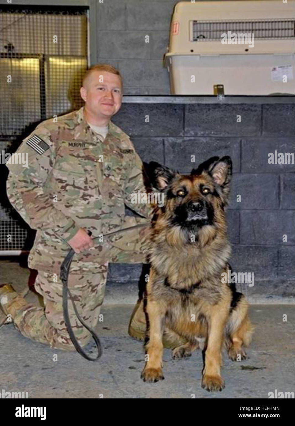 Pfc. Benjamin E. Murphy and his military working dog Jack, both members ...
