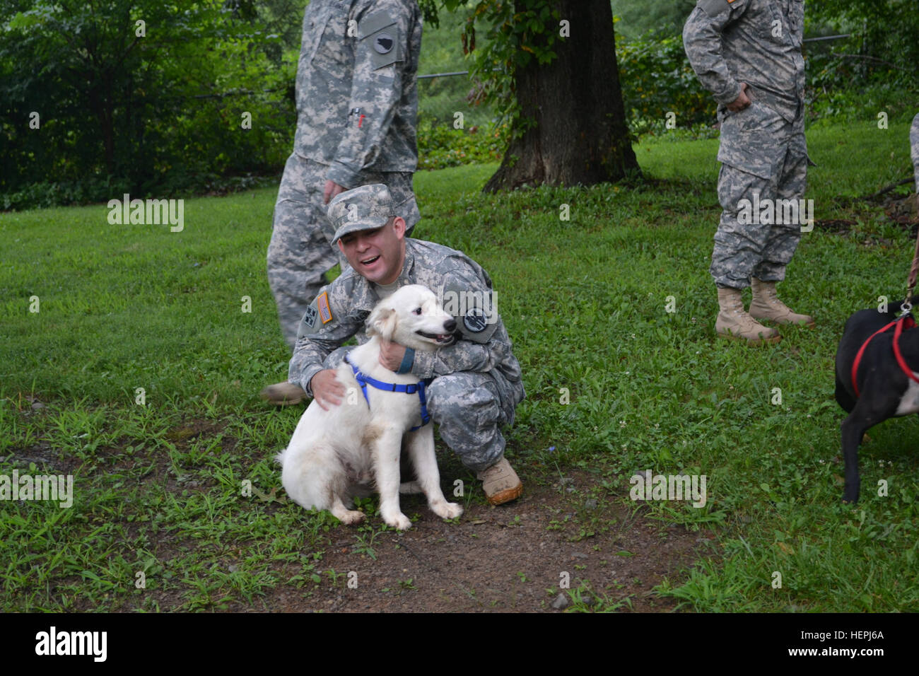 A soldier from the 422nd Military Police Company engages with dogs at ...