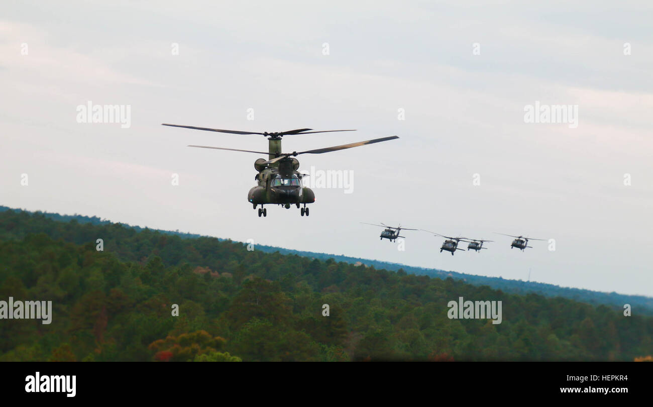 Canadian CH-147F Chinook assigned with the 450th Tactical Helicopter ...