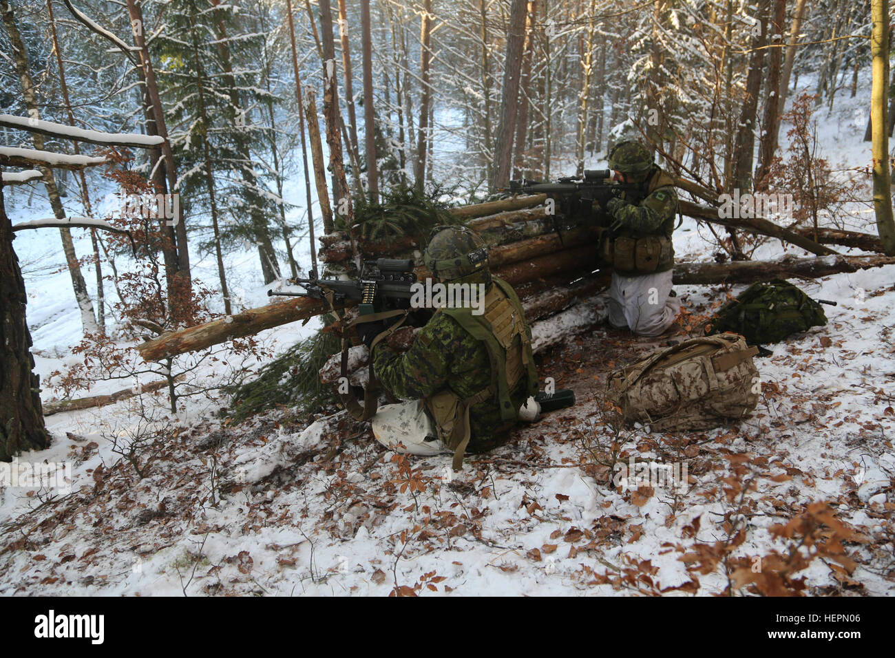 Canadian soldiers of 3rd Battalion, Royal 22nd Regiment, 5th Mechanized ...