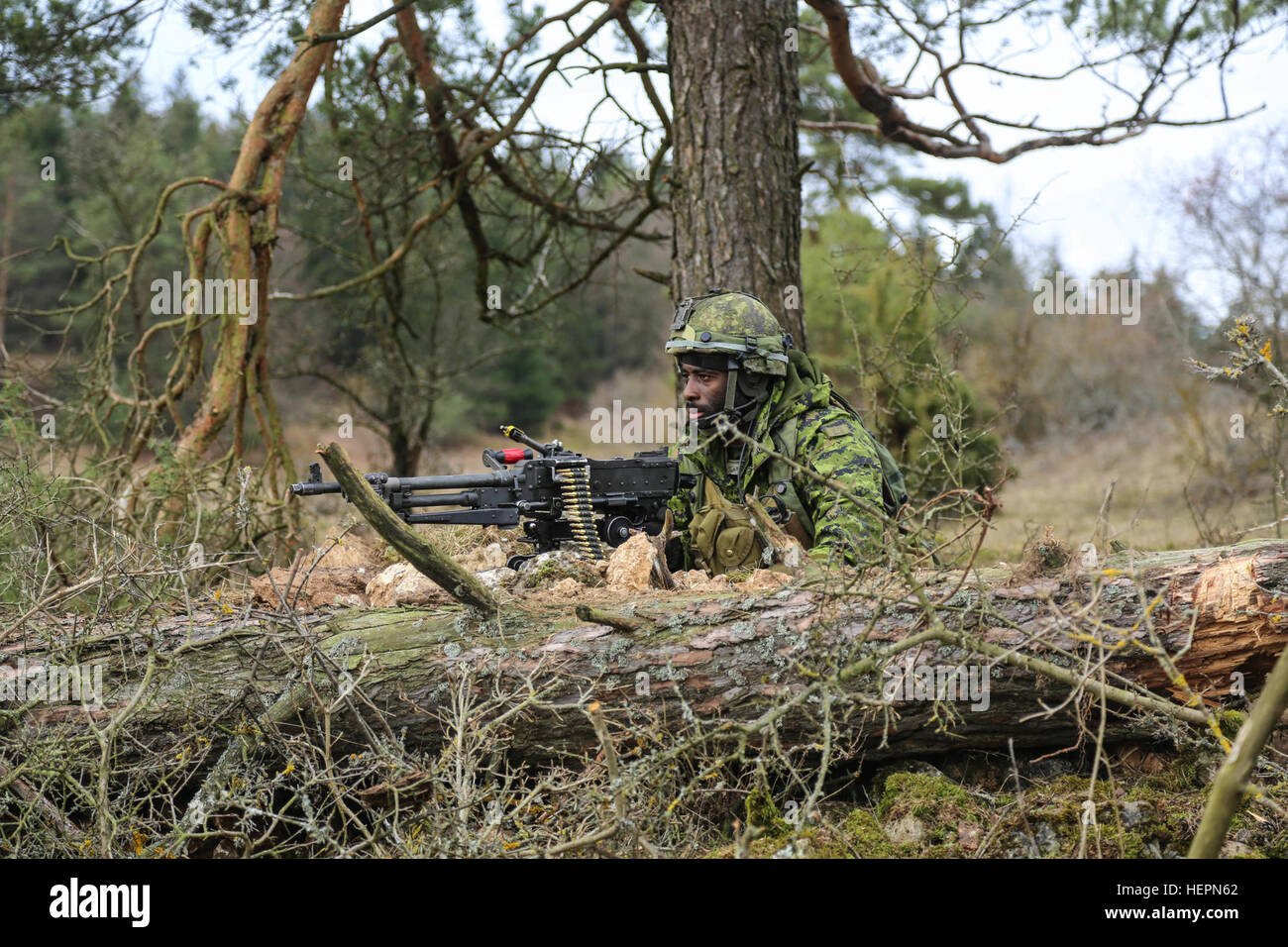 A Canadian soldier of 3rd Battalion, Royal 22nd Regiment, 5th ...