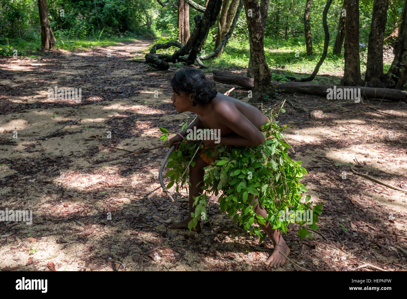 DABANA, SRI LANKA - CIRCA DECEMBER 2016: Vedda man Stock Photo - Alamy
