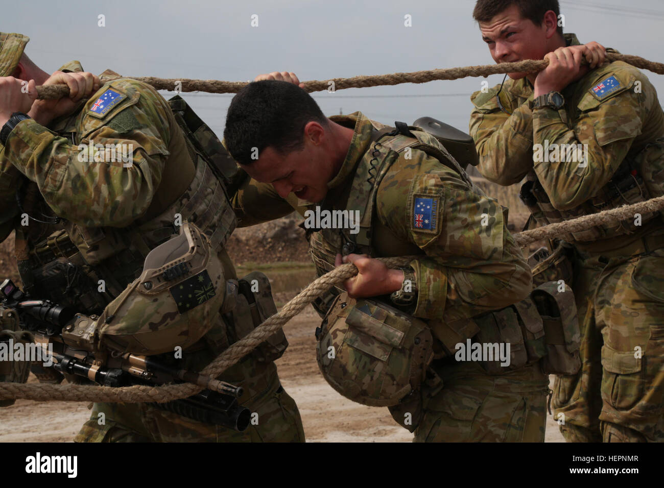 Hai australia hi-res stock photography and images - Alamy