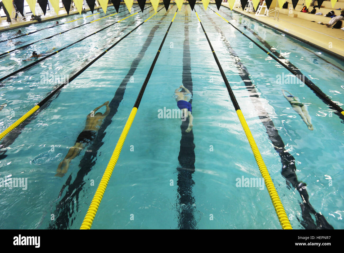 U.S. Army active duty and veterans attend swim training at the Aquatics ...