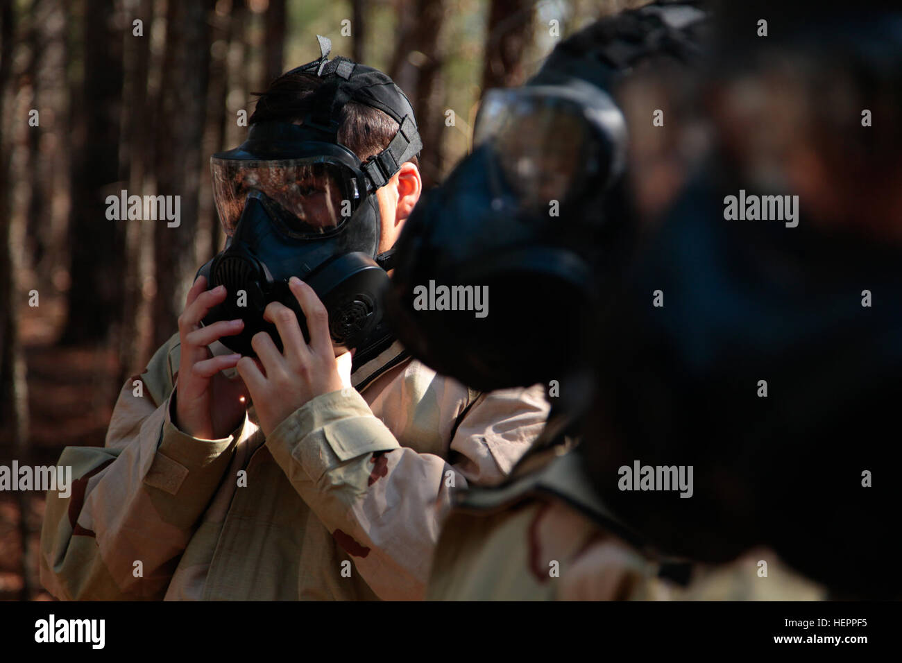 3rd Military Information Support Battalion High Resolution Stock ...