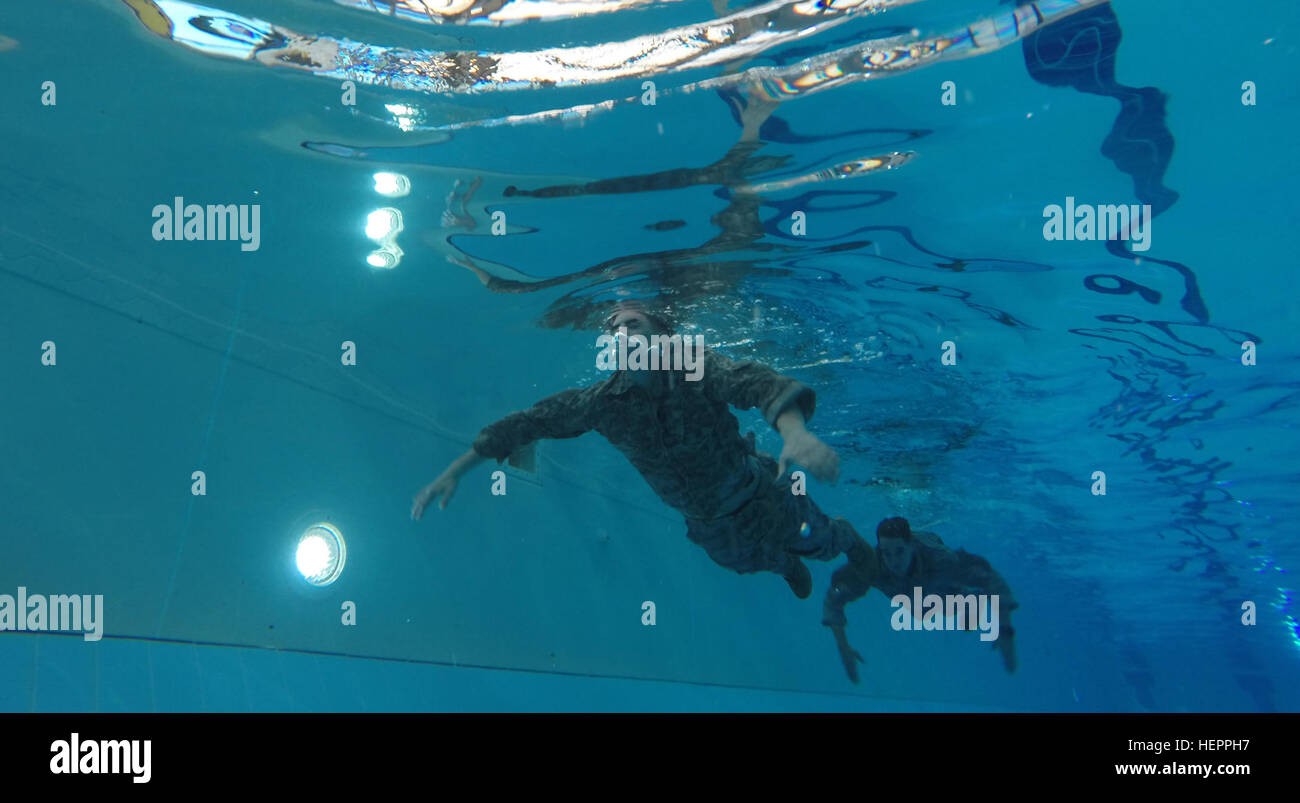 Tesky hi-res stock photography and images - Alamy