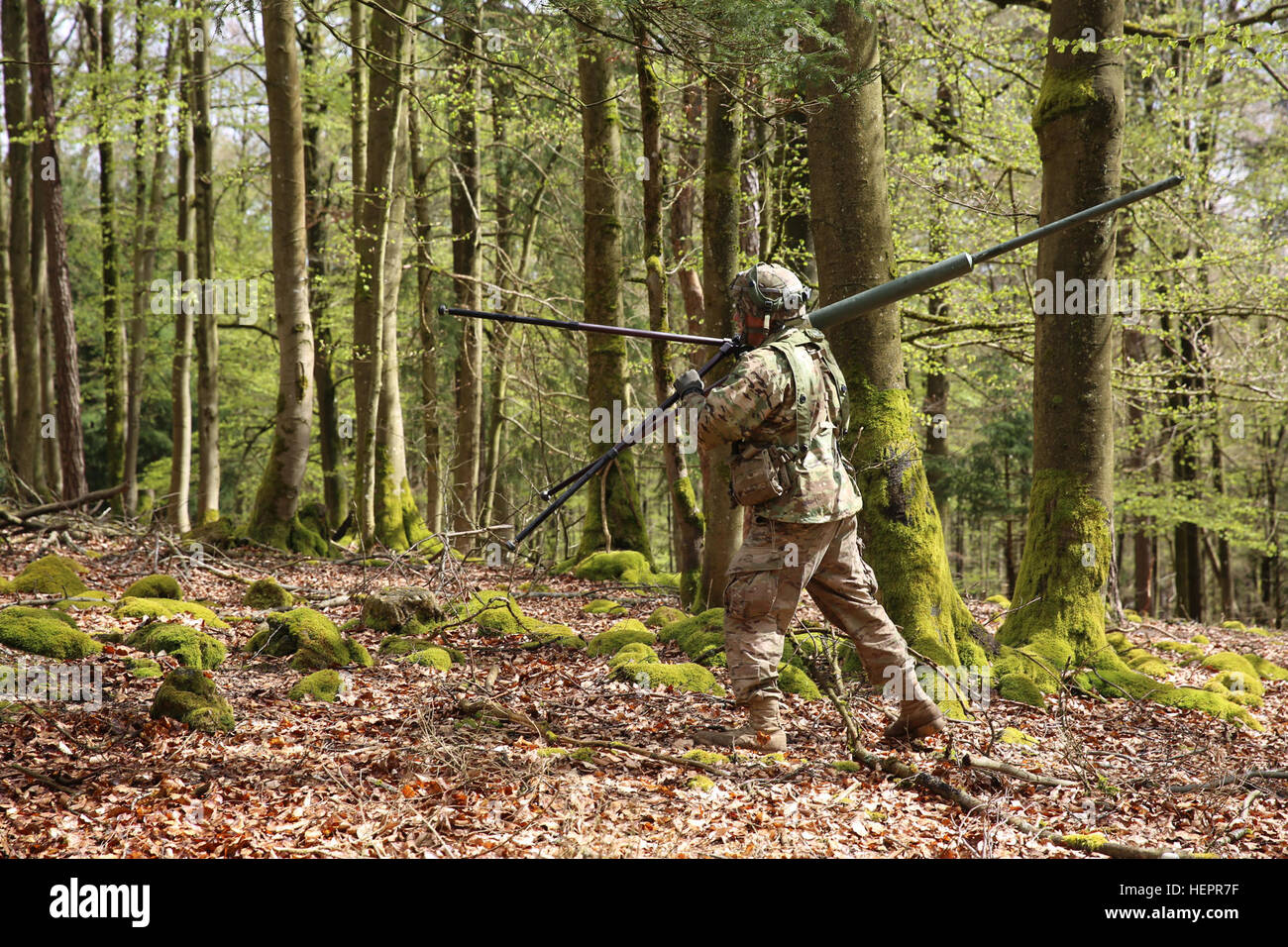 A U.S. Soldier of 1st Squadron, 91st Cavalry Regiment, 173rd Airborne ...