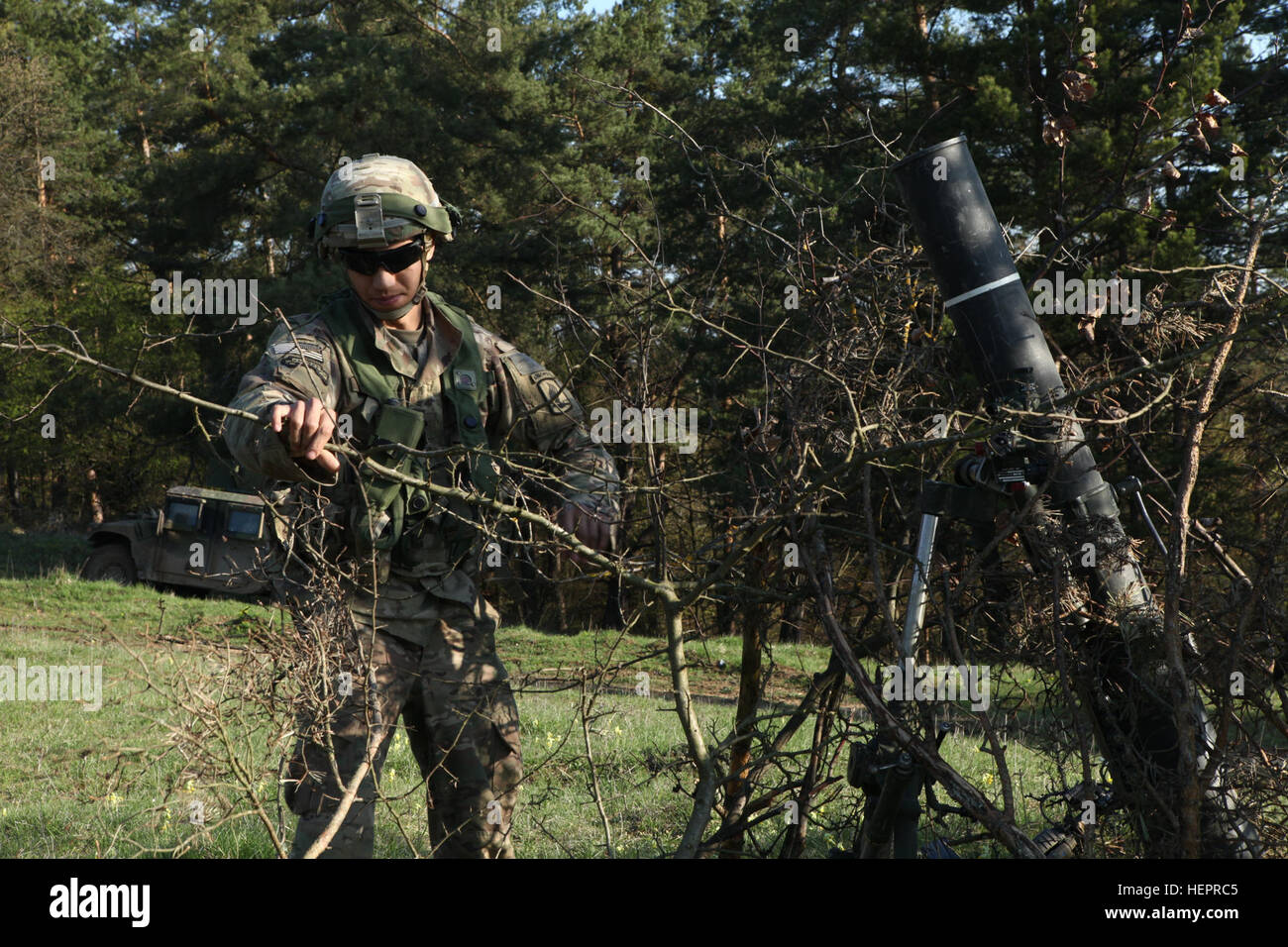 A U.S. Soldier of 1st Squadron, 91st Cavalry Regiment, 173rd Airborne ...