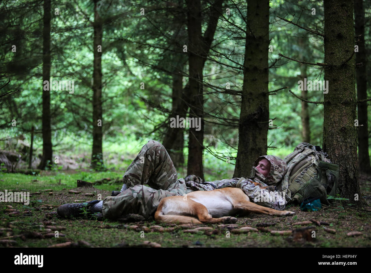 A British soldier of 102nd Military Working Dog Squadron, 1st Military ...