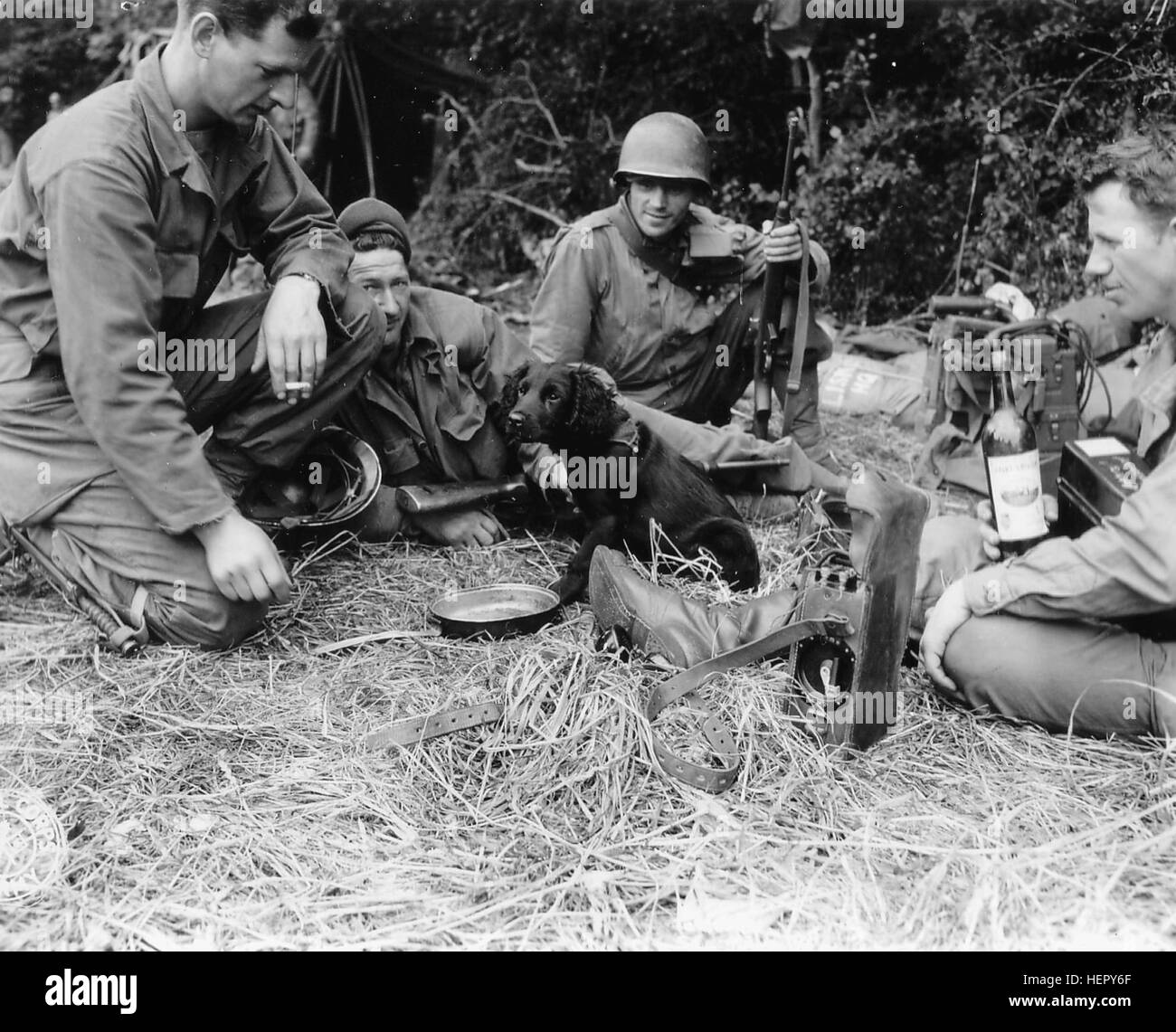 A group of U.S. Army Rangers with a military working dog pose in front ...