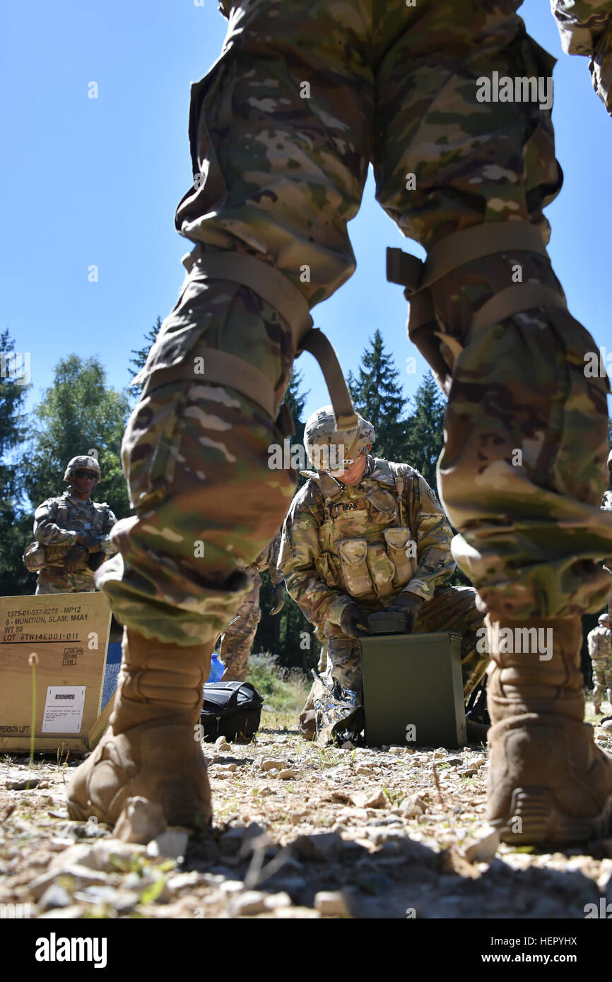 U.S. Soldiers, assigned to the Regimental Engineer Squadron, 2d Cavalry ...