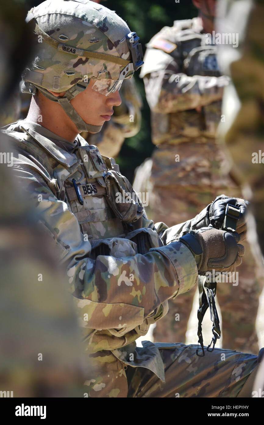 U.S. Soldiers, assigned to the Regimental Engineer Squadron, 2d Cavalry ...