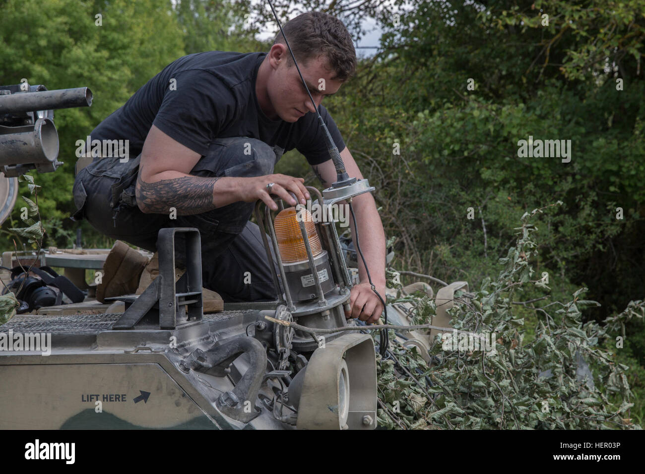 A U.S. Soldier of 1st Infantry Regiment, 4th Infantry Battalion, Joint ...