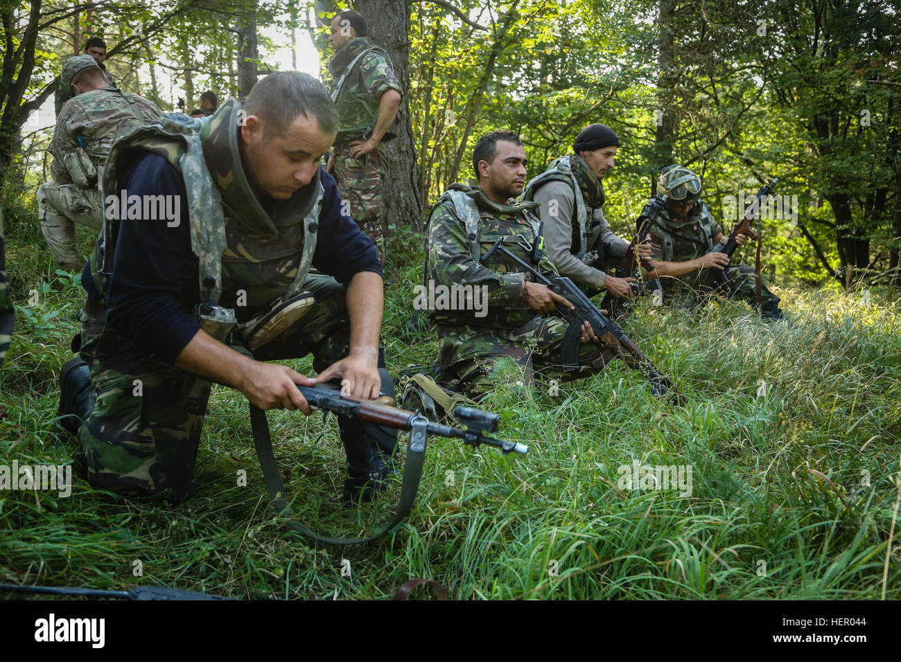 Romanian soldiers of the 33rd Mountain Battalion Posada reload their ...