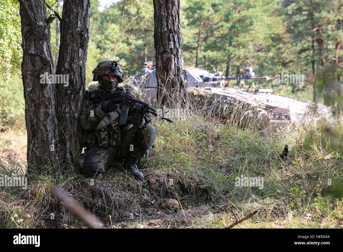 A Polish soldier of 2nd Battalion, 17th Mechanized Brigade provides ...