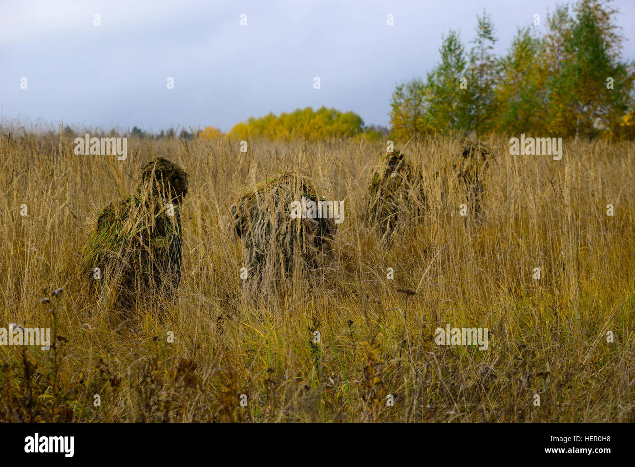 Norwegian soldiers participate in the stalking challenge during the ...