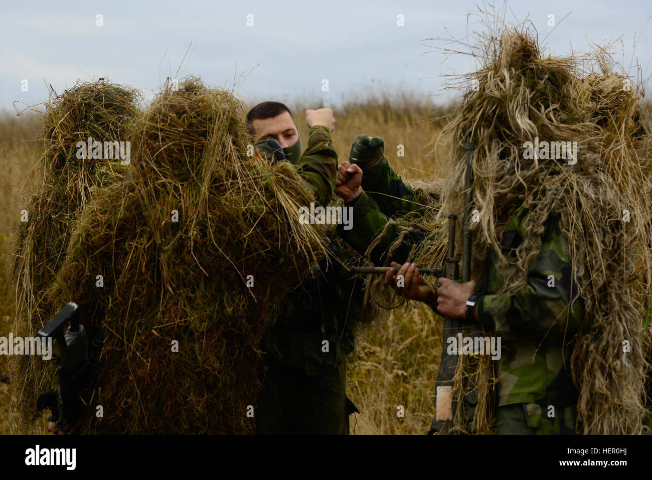 Swedish army cavalry infantry regiment hi-res stock photography and ...