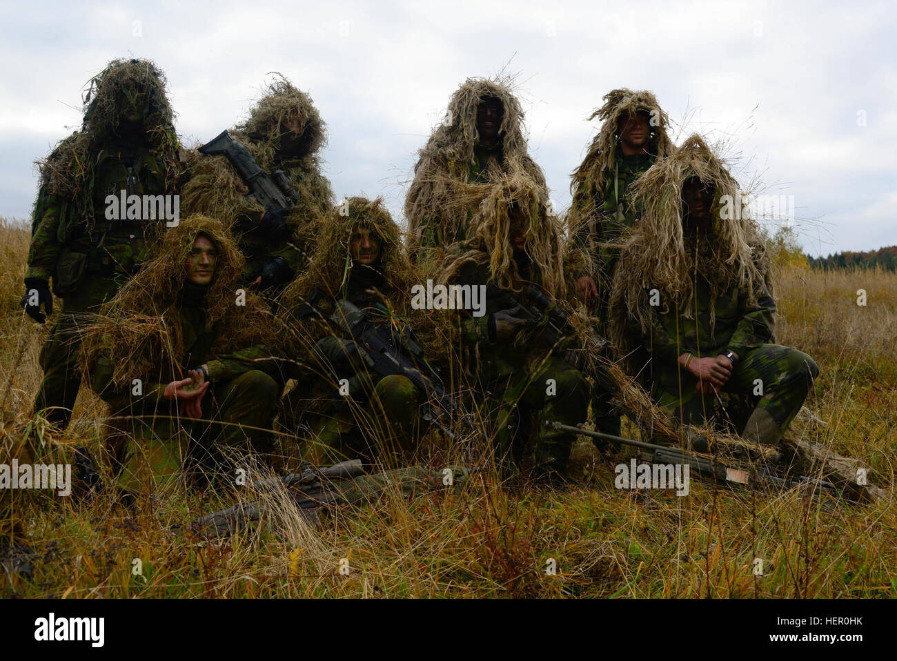 Swedish army cavalry infantry regiment hi-res stock photography and ...