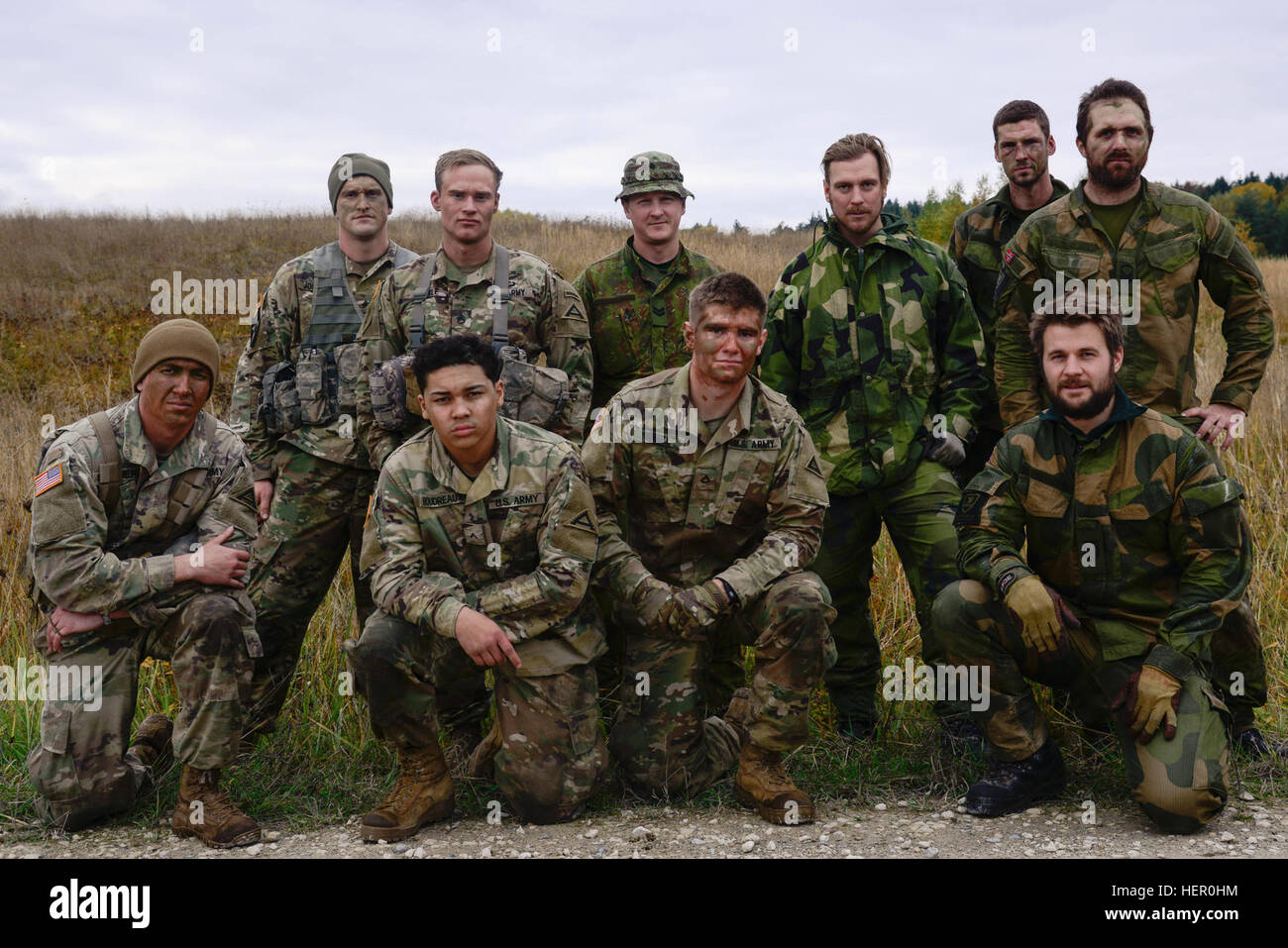 Swedish army cavalry infantry regiment hi-res stock photography and ...