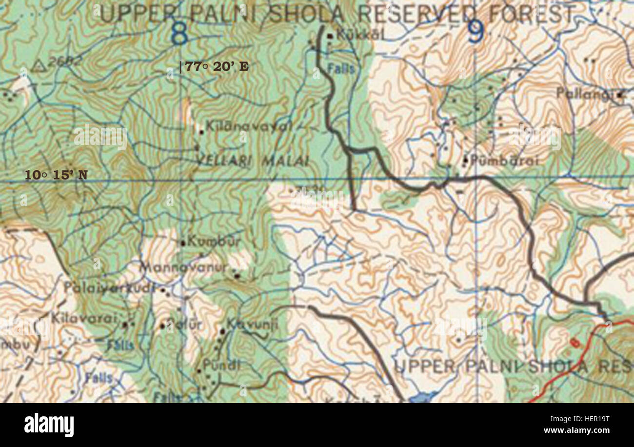 AMS-Upper Palani Reserve Forest copy Stock Photo - Alamy