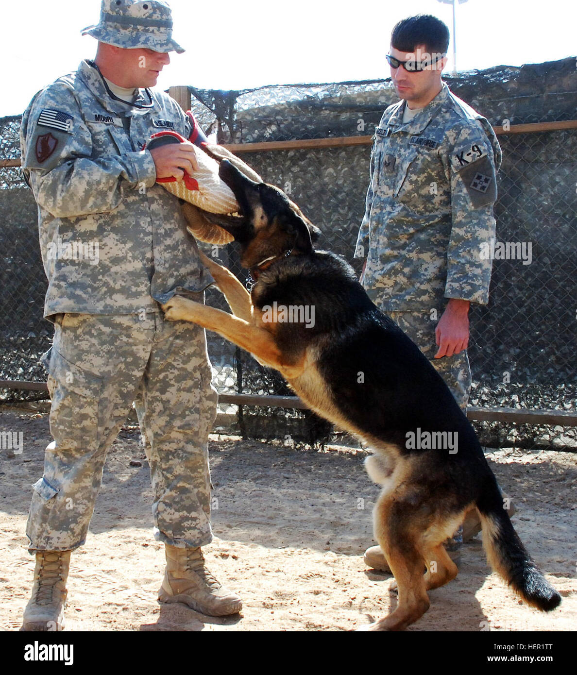 Army Dogs Attacking