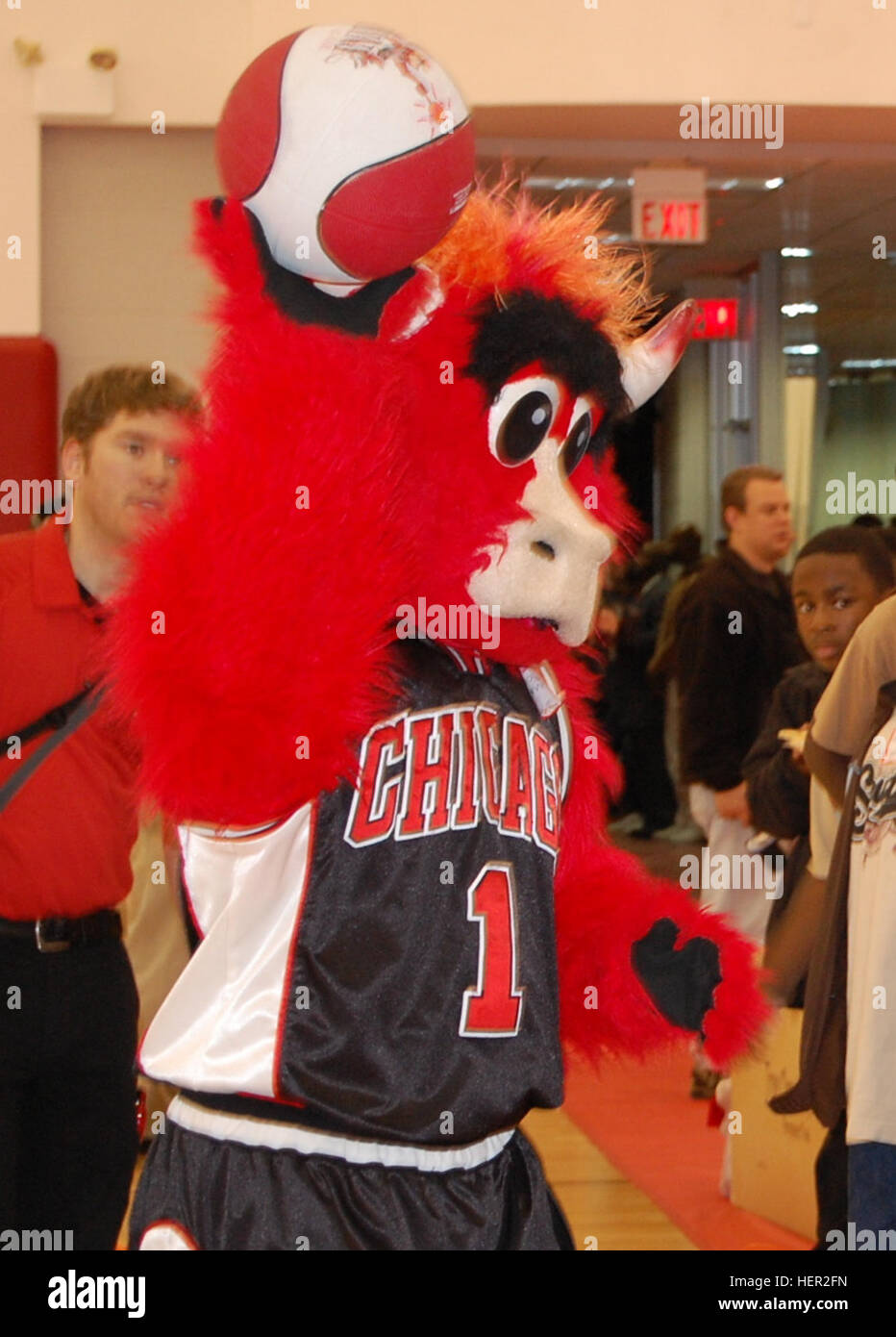Benny the bull hi-res stock photography and images - Alamy