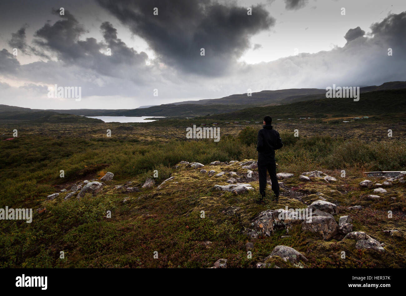 Rear view of man standing in rural landscape, Iceland Stock Photo - Alamy