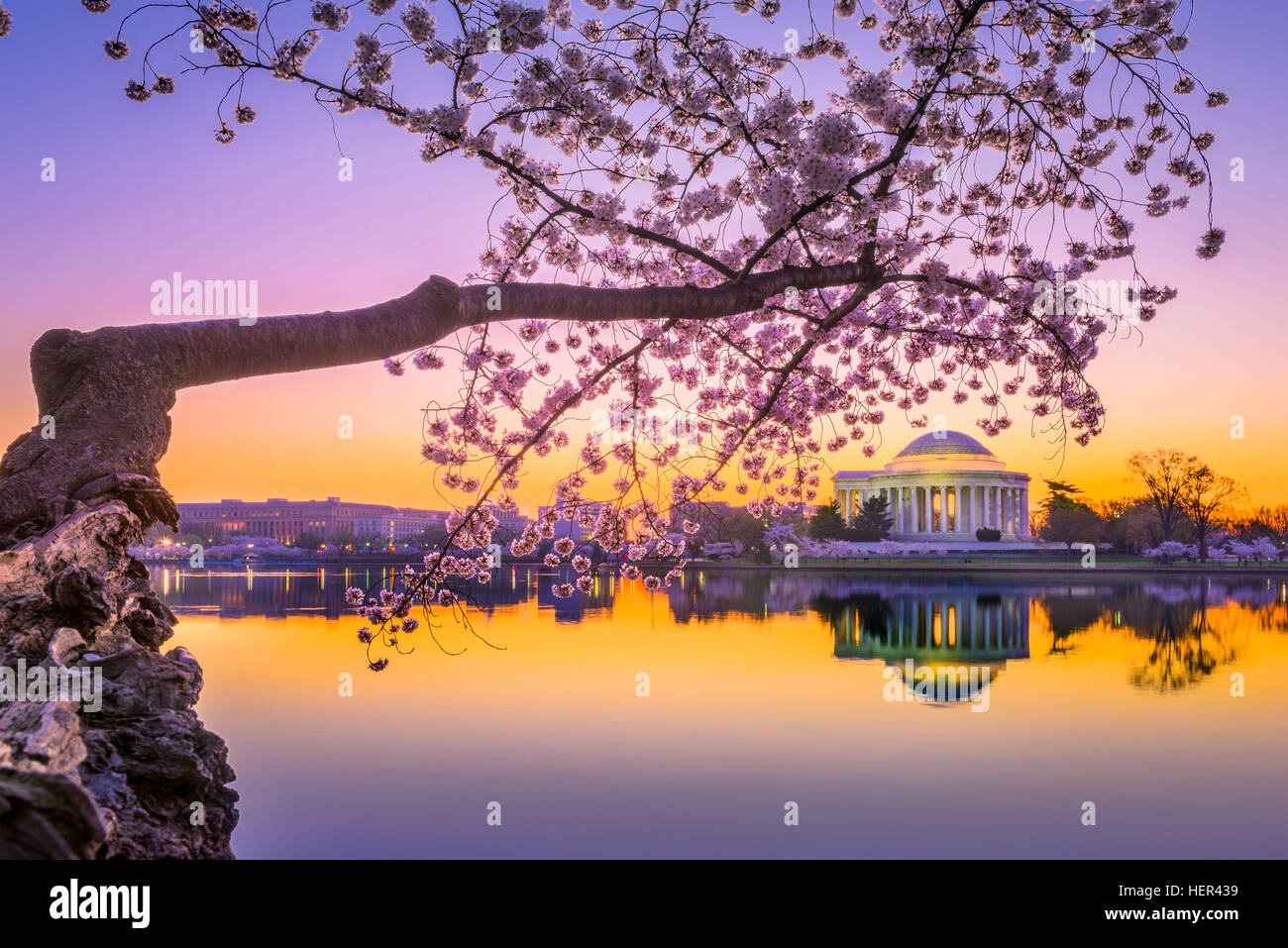 Washington, DC at the Jefferson Memorial during spring Stock Photo - Alamy