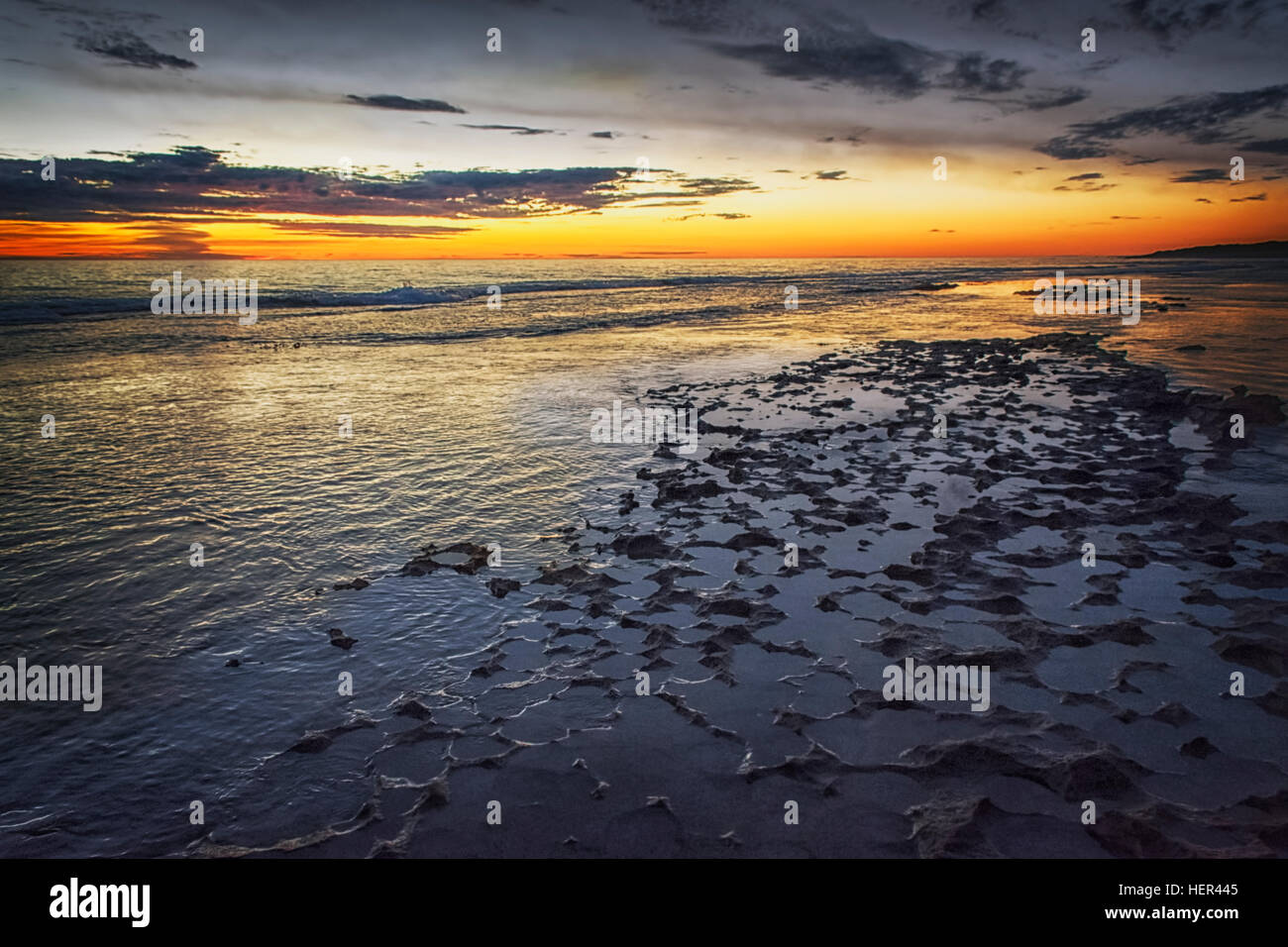 Yanchep hi-res stock photography and images - Alamy