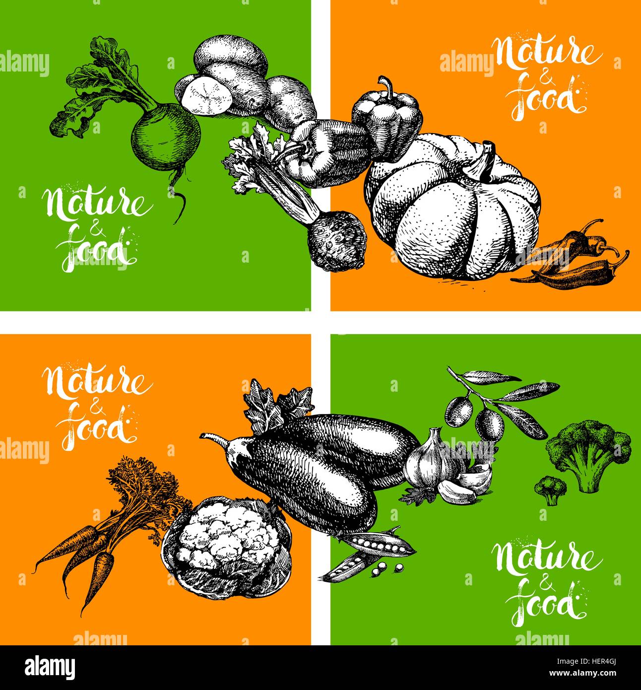 Eco natural food menu vintage background. Sketch hand drawn vegetables ...