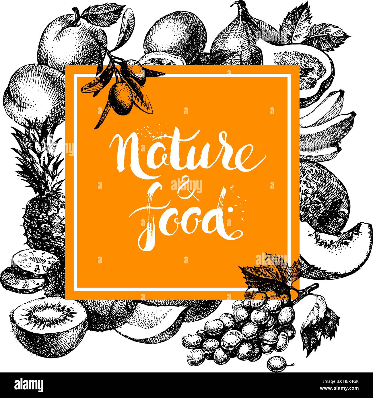 Eco natural food menu background. Sketch hand drawn fruits frame ...