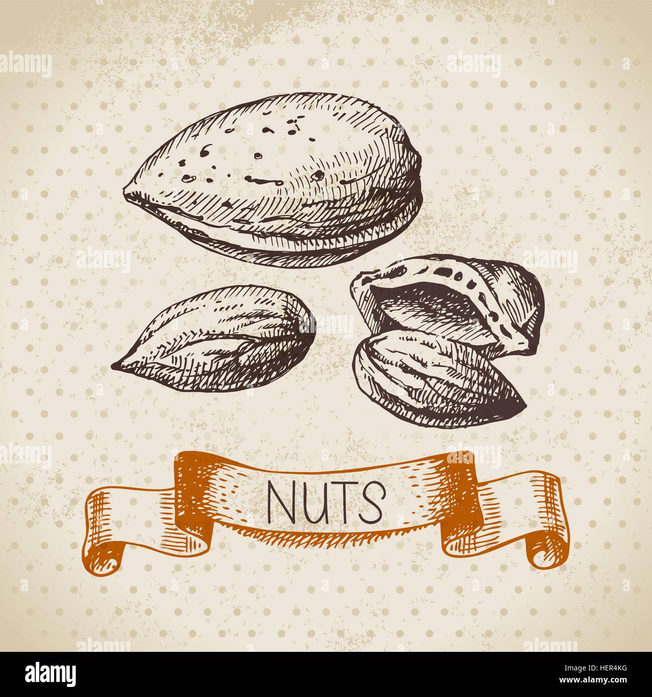 Hand drawn sketch nut vintage background. Vector illustration of eco ...