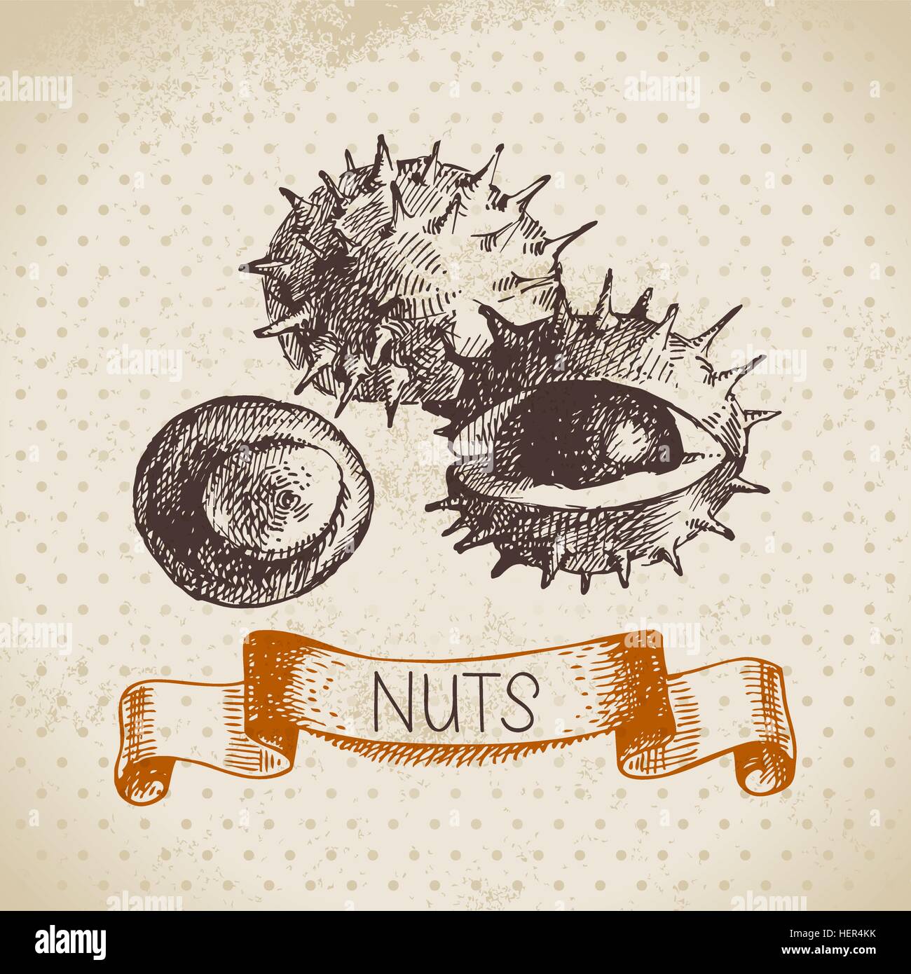 Hand drawn sketch nut vintage background. Vector illustration of eco ...
