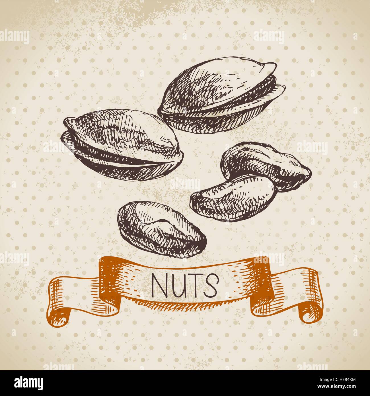 Hand drawn sketch nut vintage background. Vector illustration of eco ...