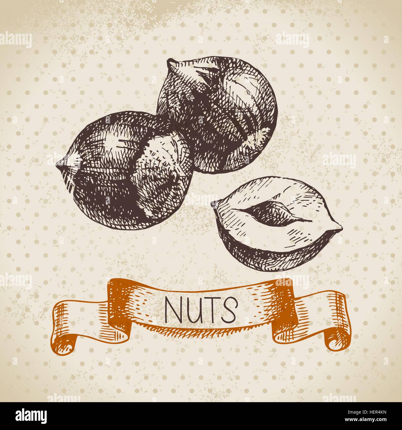 Hand drawn sketch nut vintage background. Vector illustration of eco ...