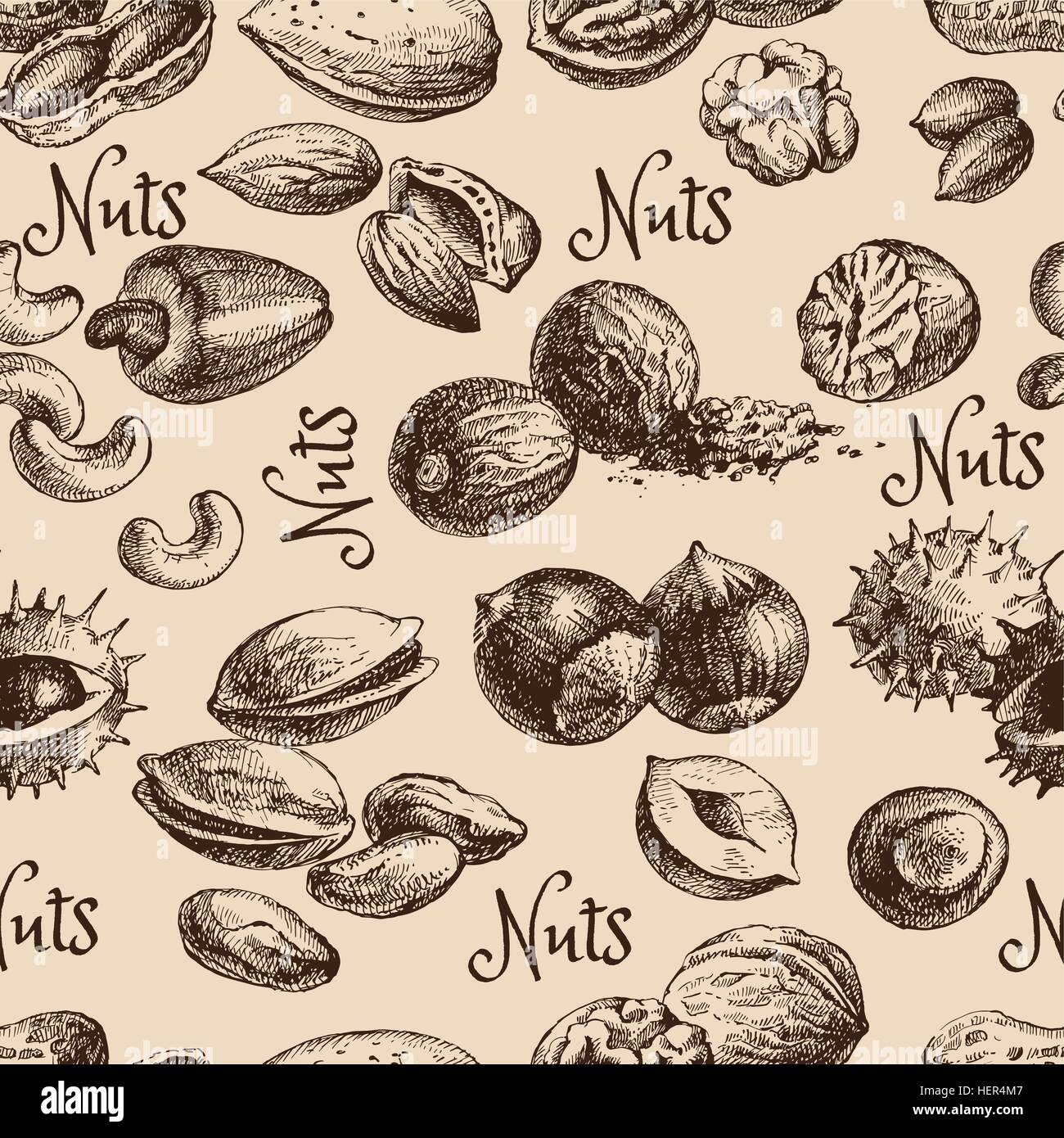 Vintage hand drawn sketch nuts seamless pattern. Vector illustration ...