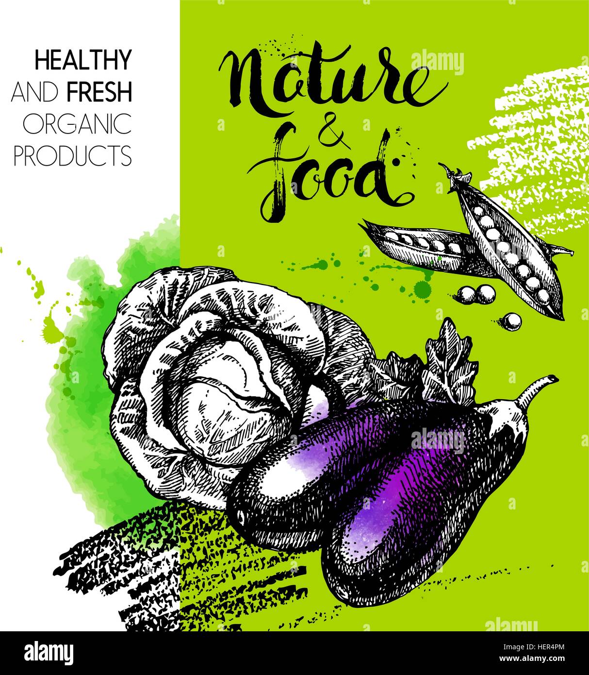 Eco food menu background. Watercolor and hand drawn sketch vegetables ...