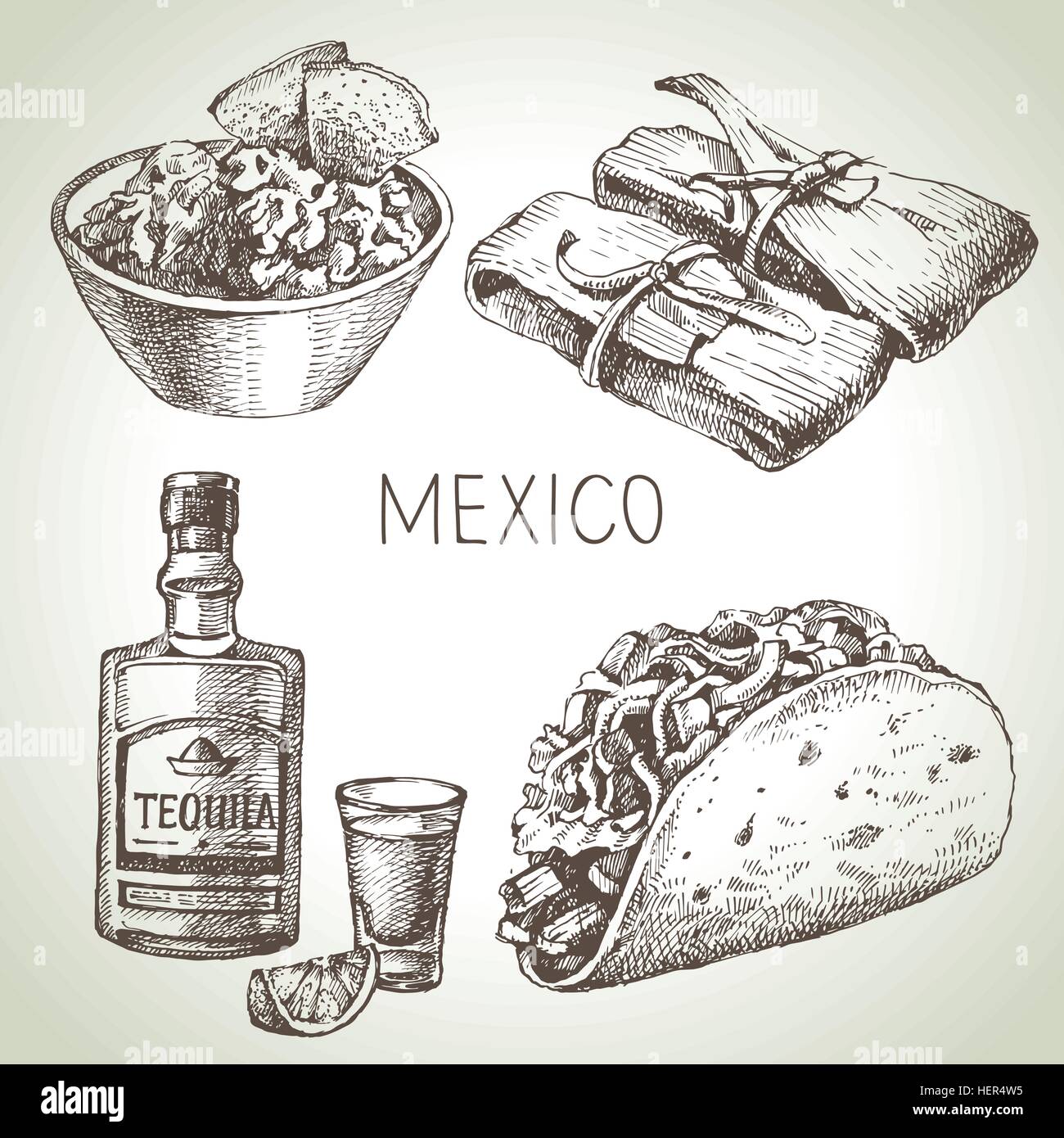 Mexican traditional food. Hand drawn sketch vector illustration ...