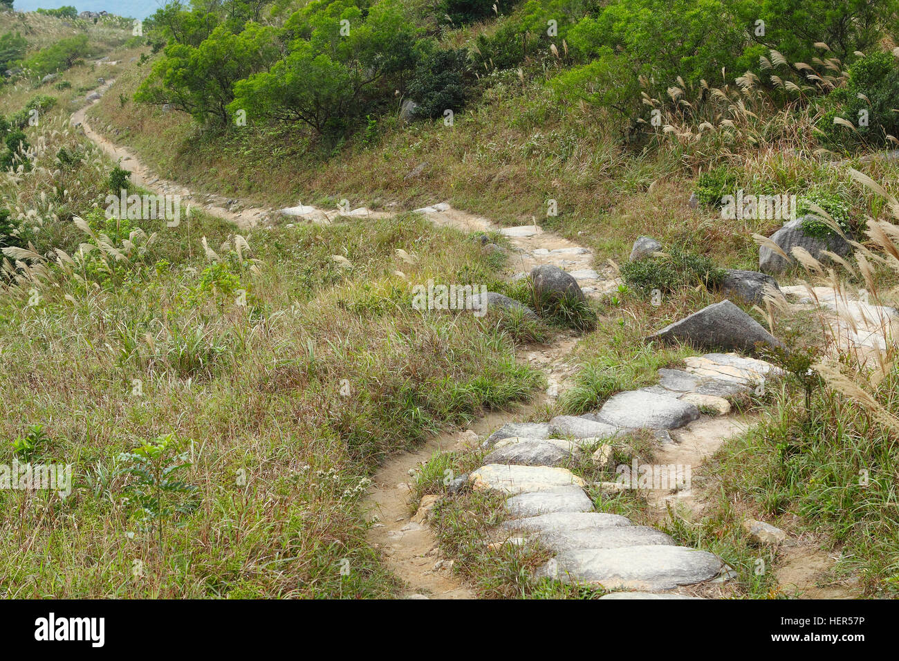Stone path in the mountains Stock Photo - Alamy