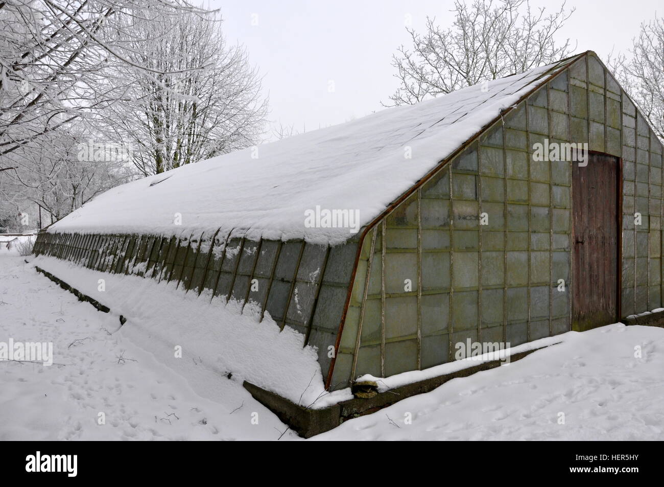 Greenhouse in snow hi-res stock photography and images - Alamy