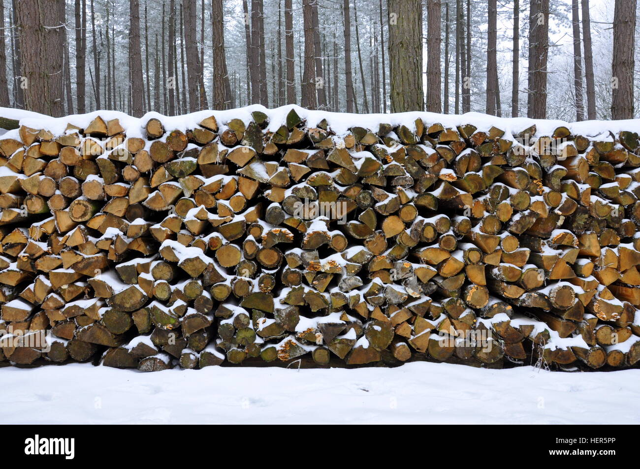 Winter tree cut hi-res stock photography and images - Alamy
