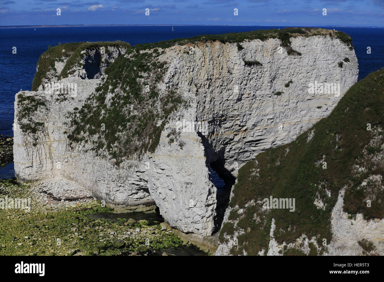 Dorset swanage cliff hi-res stock photography and images - Alamy