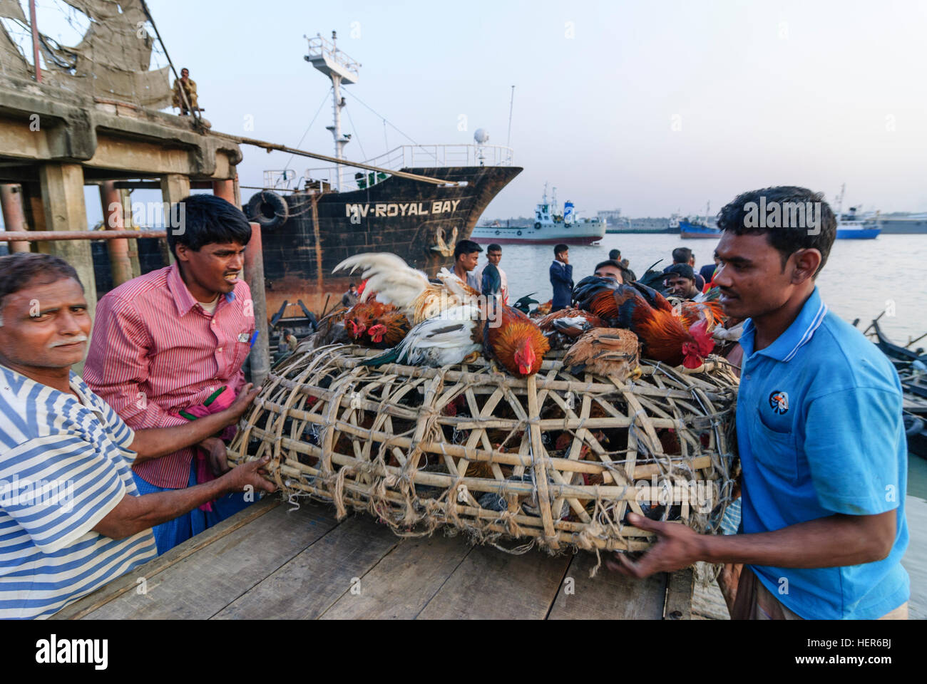 Unloading of chicken at karnaphuli river hi-res stock photography and ...